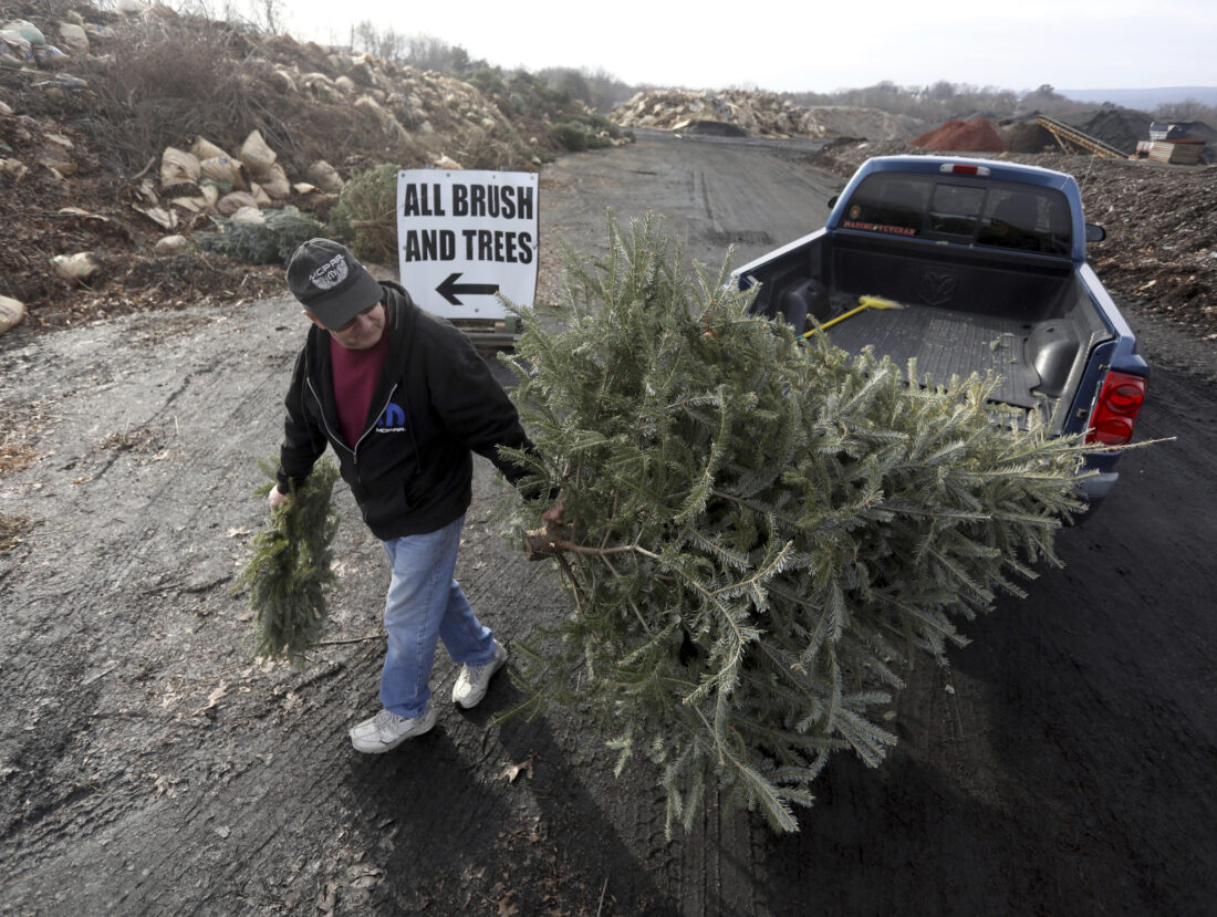 Christmas tree recycling is a good alternative to landfills | News ...